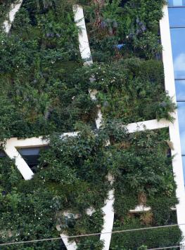 Construction Technology & Productivity | NOVA